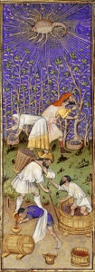 Les vilains à travers les fabliaux et un fabliau médiéval